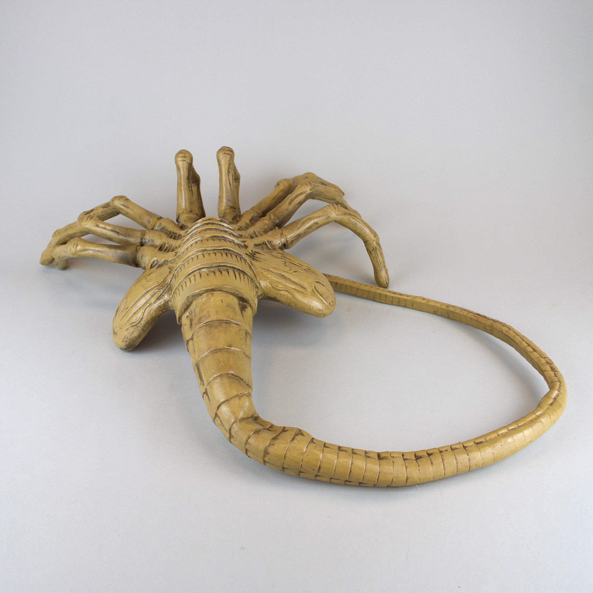 Facehugger Alien Life Size Replica by NECA – Heroic Fandoms